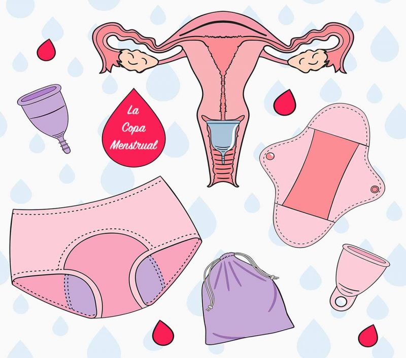 Copa menstrual ¿qué tipos hay y cuáles son sus ventajas